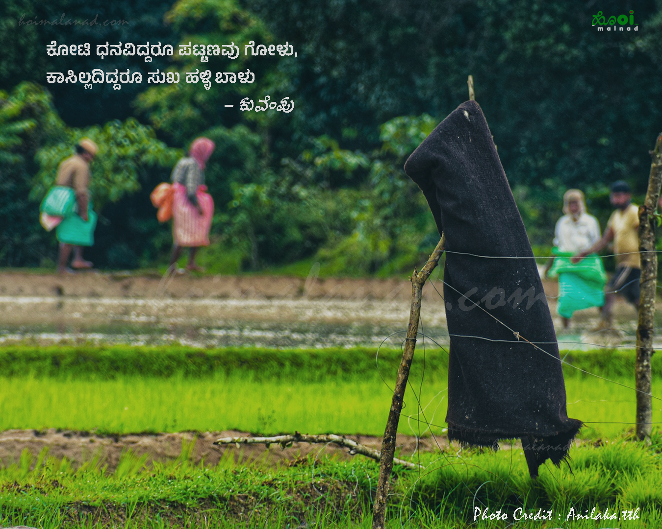 ಕುವೆಂಪು ನುಡಿಮುತ್ತುಗಳು - Kuvempu quotes - Hoi malnad