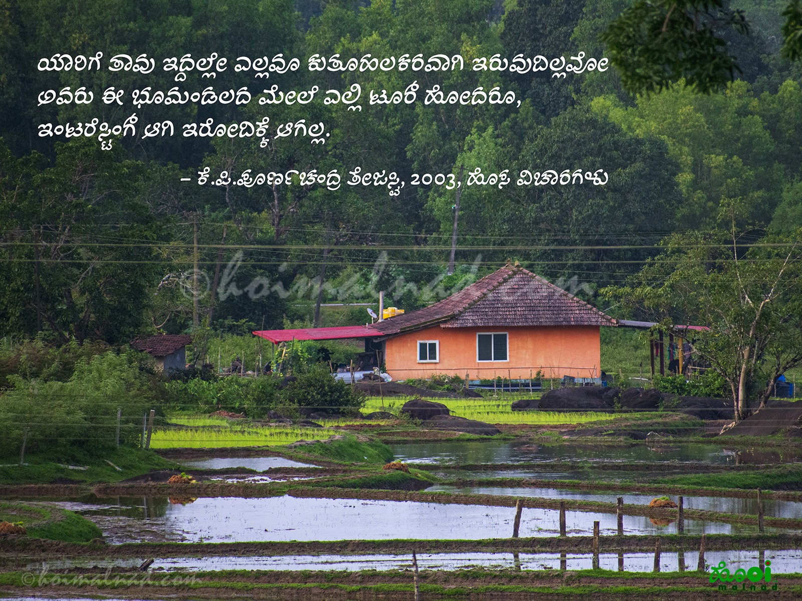 ಕೆ.ಪಿ.ಪೂರ್ಣಚಂದ್ರ ತೇಜಸ್ವಿ ನುಡಿಮುತ್ತುಗಳು – K. P. Poornachandra Tejaswi ...