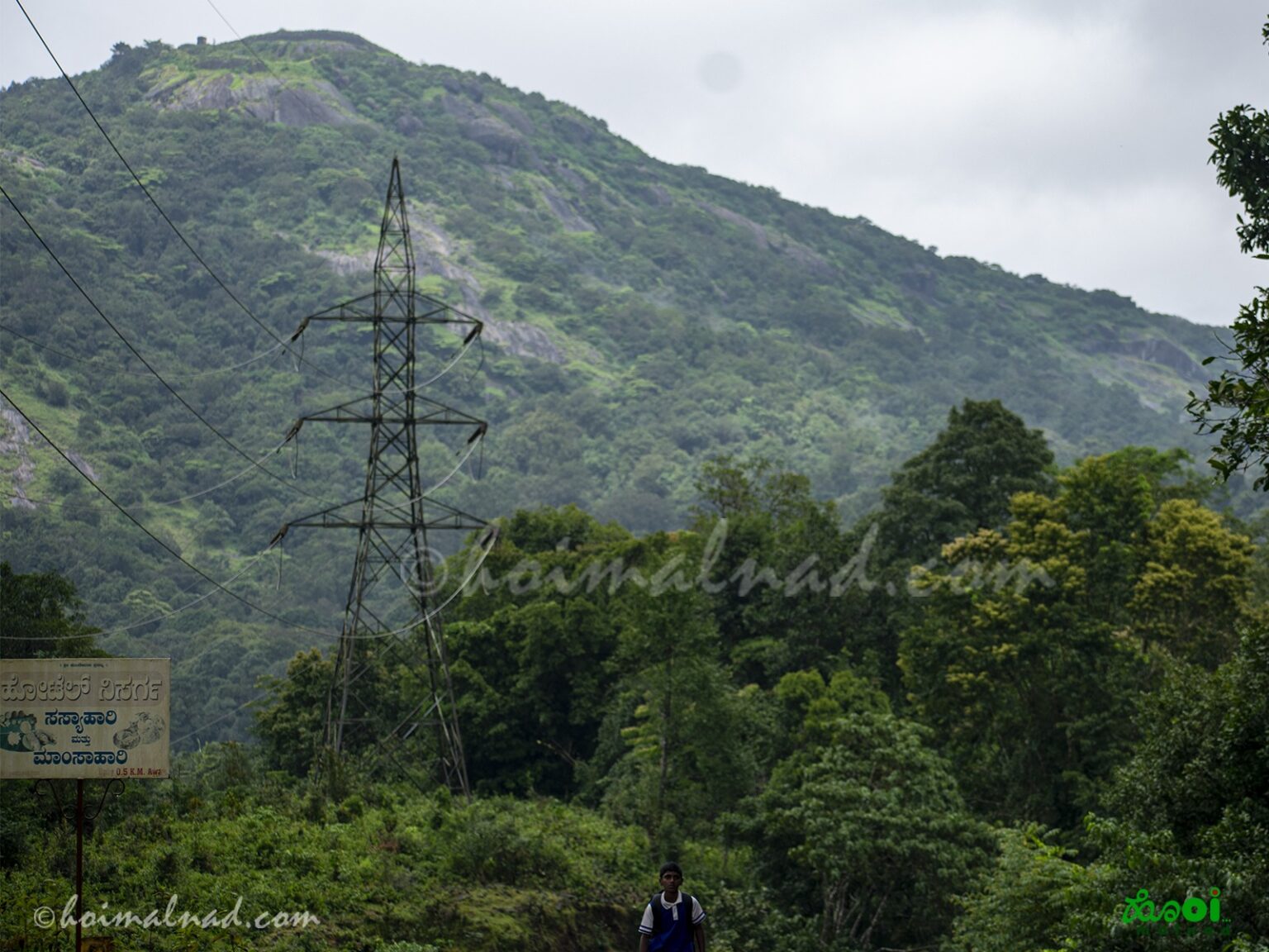 Kuppalli Kavi Mane – Kuvempu Thirthahalli Shivamogga - Hoi malnad
