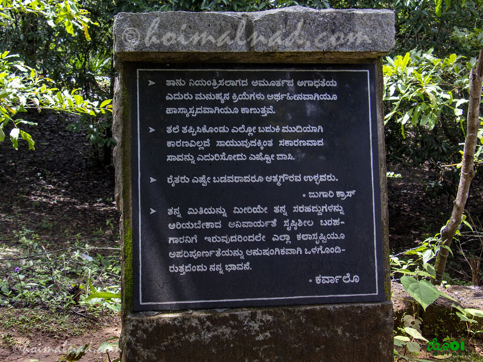 ಕೆ.ಪಿ.ಪೂರ್ಣಚಂದ್ರ ತೇಜಸ್ವಿ ನುಡಿಮುತ್ತುಗಳು - K. P. Poornachandra Tejaswi ...