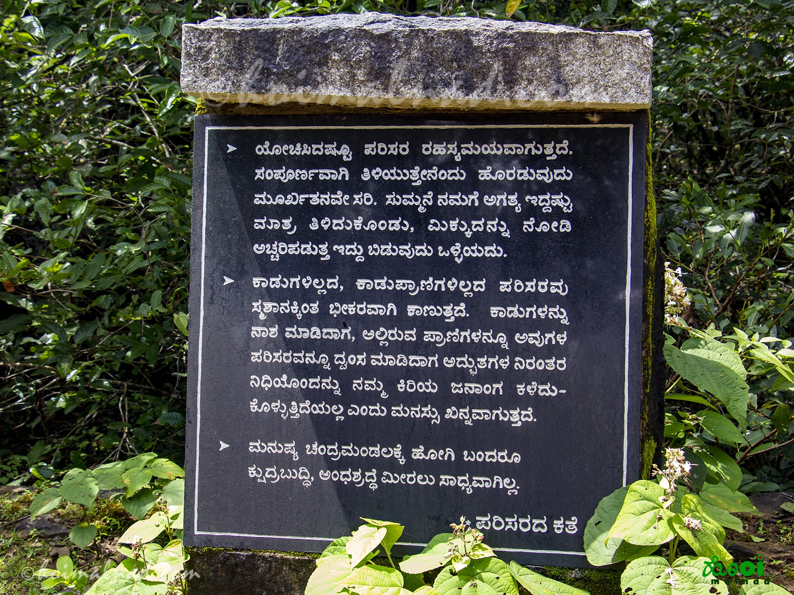 ಕೆ.ಪಿ.ಪೂರ್ಣಚಂದ್ರ ತೇಜಸ್ವಿ ನುಡಿಮುತ್ತುಗಳು - K. P. Poornachandra Tejaswi ...