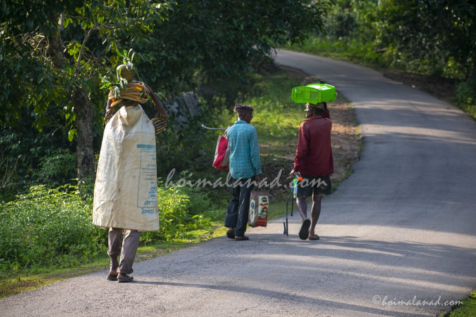 ನಾಡಗೀತೆ – Naada Geethe lyrics – Kuvempu – Hoi malnad