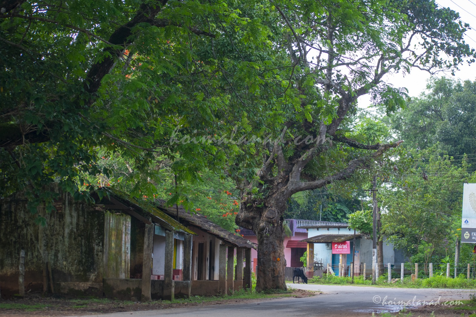 Kuppalli Kavi Mane – Kuvempu Thirthahalli Shivamogga - Hoi malnad