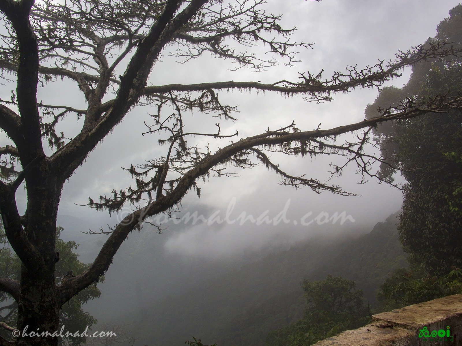 Agumbe Ghat Photos - Hoi malnad