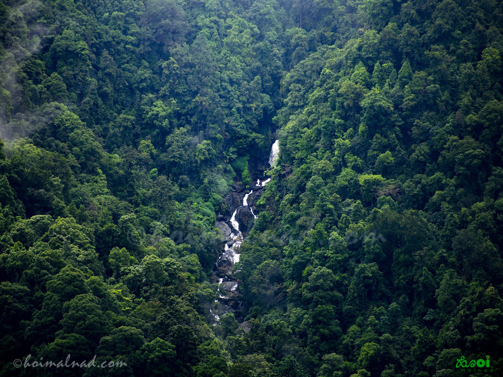 Agumbe Ghat Photos - Hoi malnad