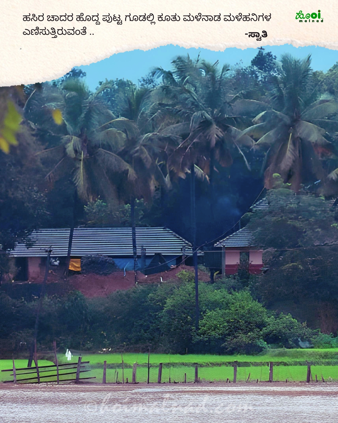 Swathi Rajesh Quotes about malnad - Hoi malnad