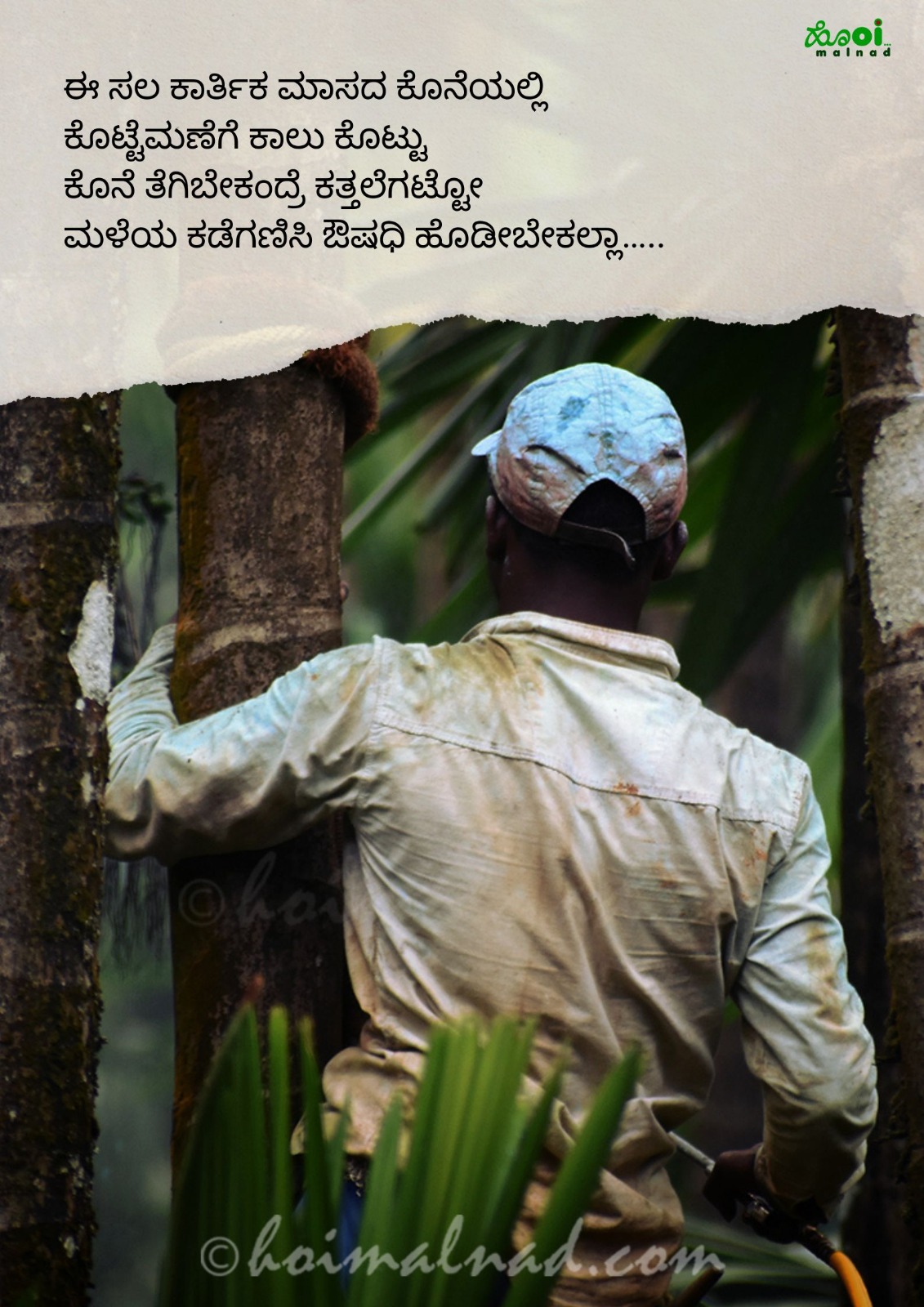 Swathi Rajesh Quotes about malnad - Hoi malnad