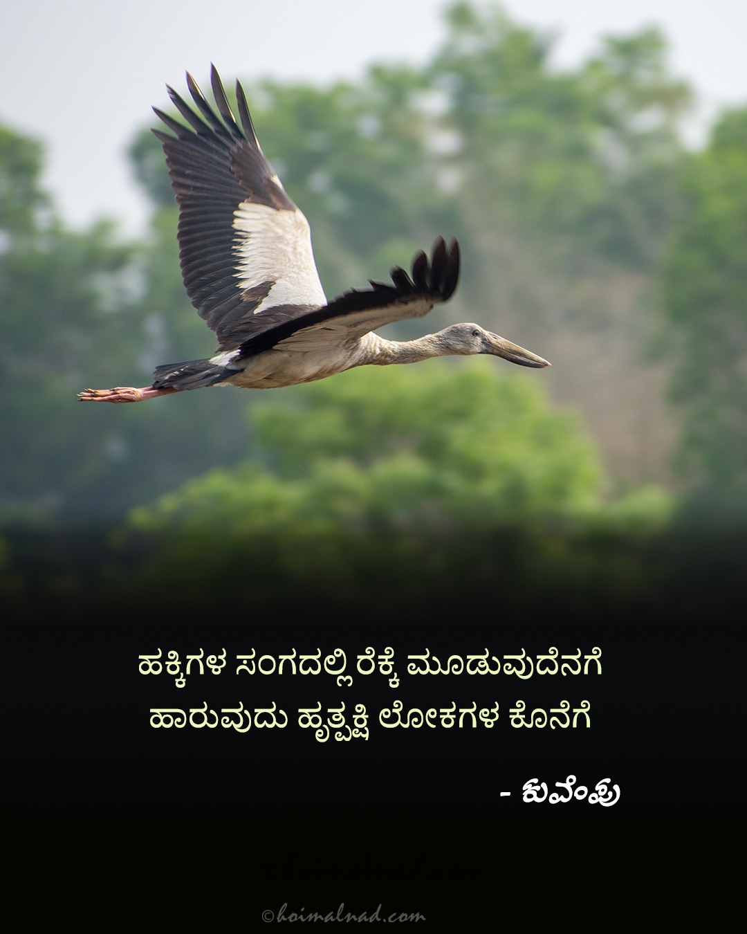 Kuppalli Kavi Mane – Kuvempu Thirthahalli Shivamogga - Hoi malnad